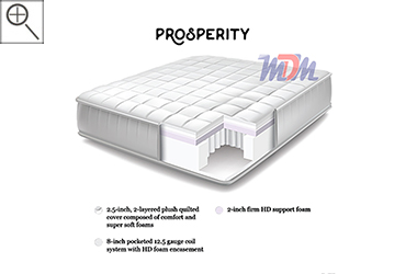 Prosperity - A Bed Boss Mattress